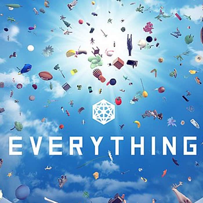 Everything sur PC : Decouvrez l'offre exceptionnel pour ce jeu