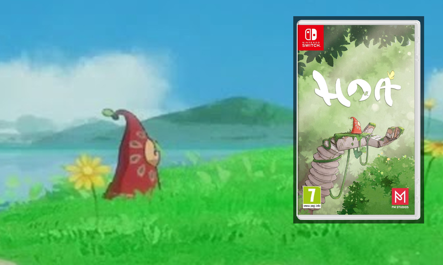 Hoa sur Switch : les offres disponibles | ChocoBonPlan.com