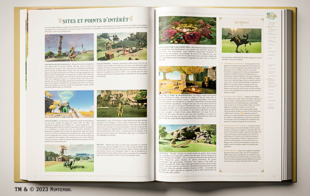 Guide Zelda Tears of The KIngdom : le collector arrive ! | ChocoBonPlan.com