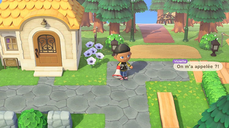 Animal Crossing New Horizons Switch 2 : le meilleur prix à sa sortie ...